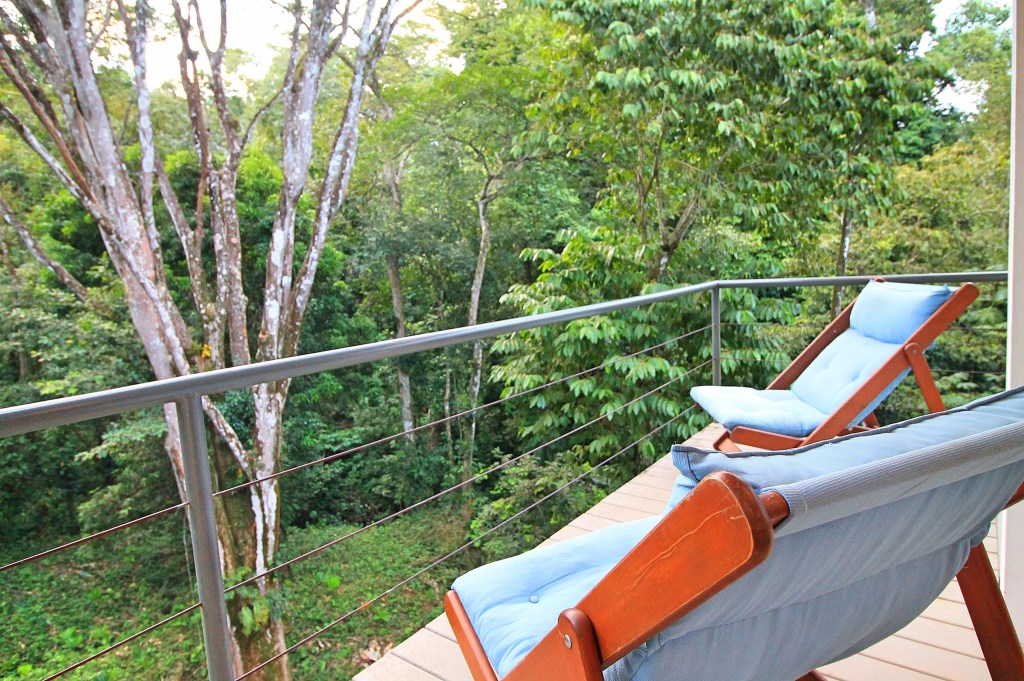 Gallery – Jungle Loft